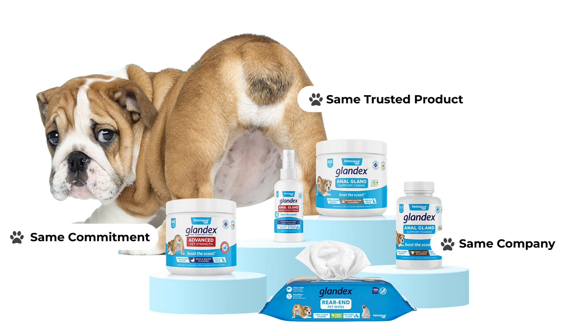 Vetnique | The Official New Home of Glandex®