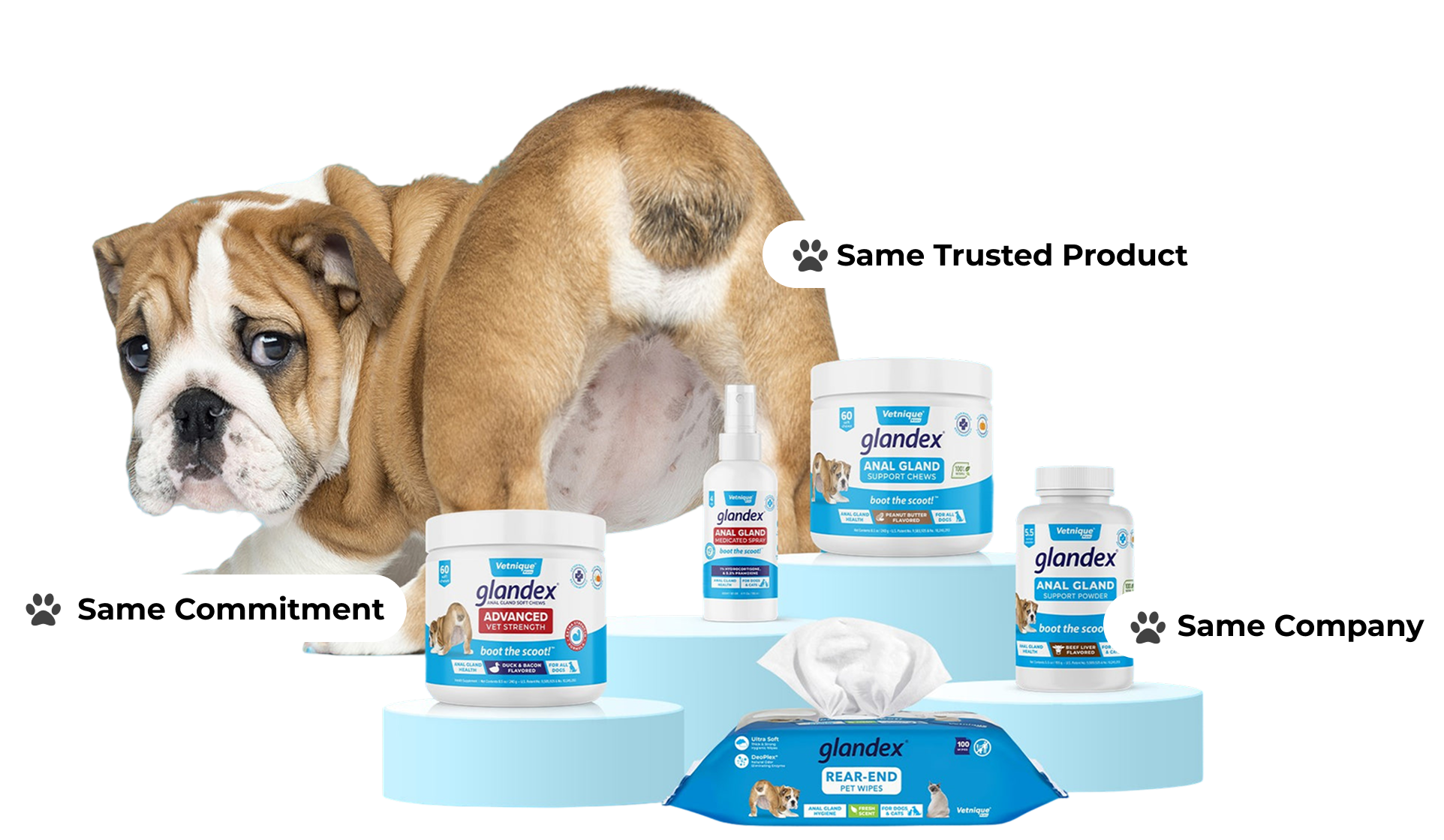 Vetnique | The Official New Home of Glandex®